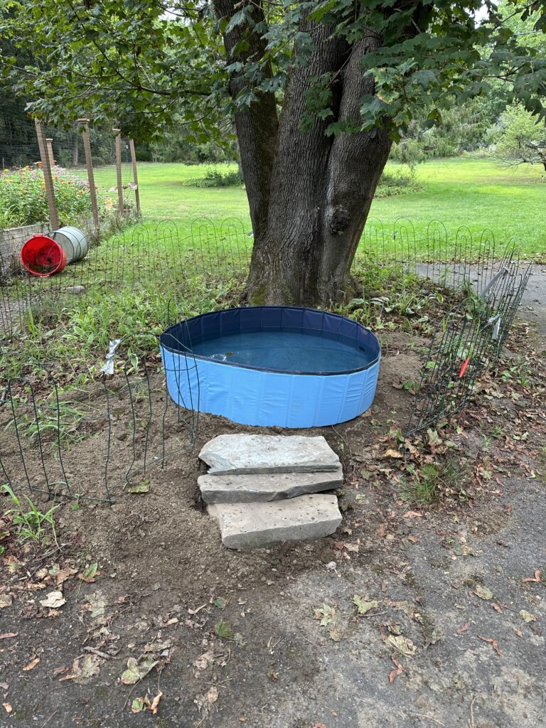 A definition of show, don't tell